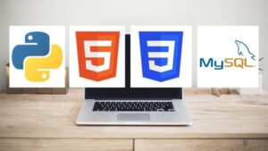 Los 10 mejores cursos online para aprender Python en 2025